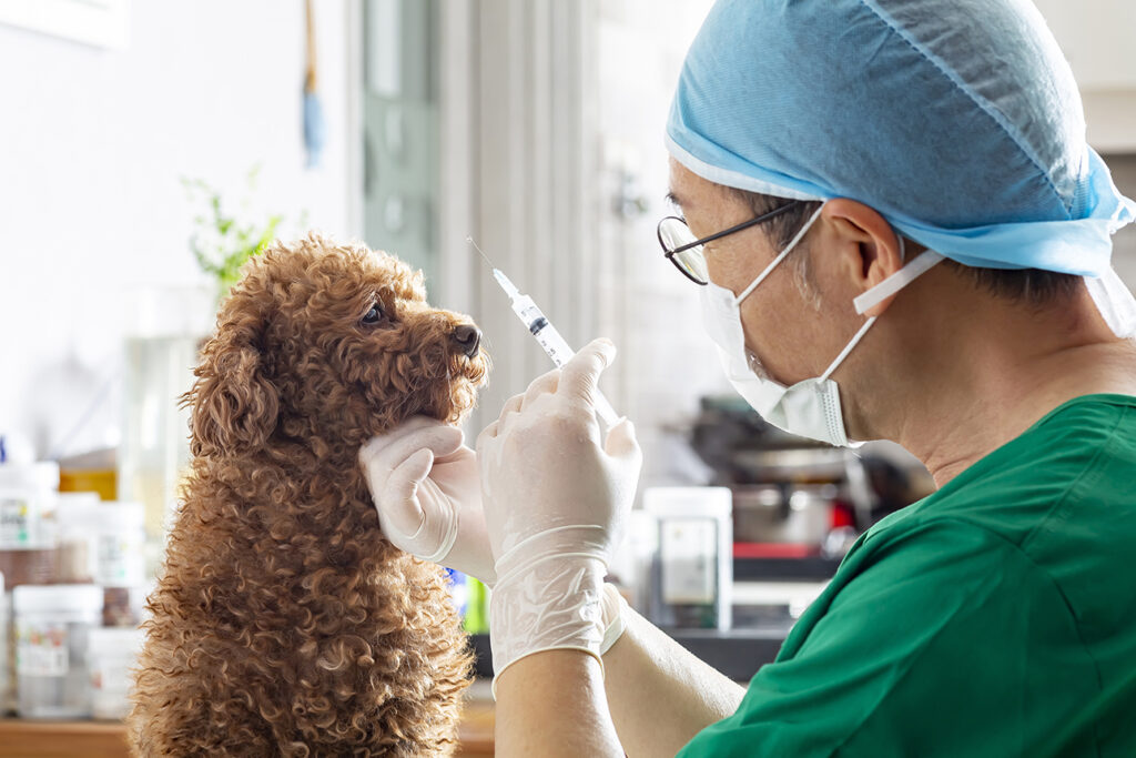 visoin_Mission - theracion